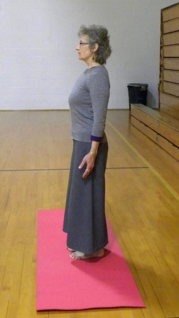 Yoga for the Sun's Movement Through Taurus - Cozy by Sweet Starlight