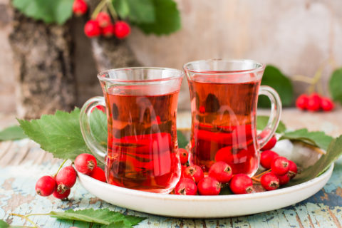 Herbal Tea Blend for Leo - Cozy by Sweet Starlight